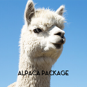 Alpaca Package | eBay Stores