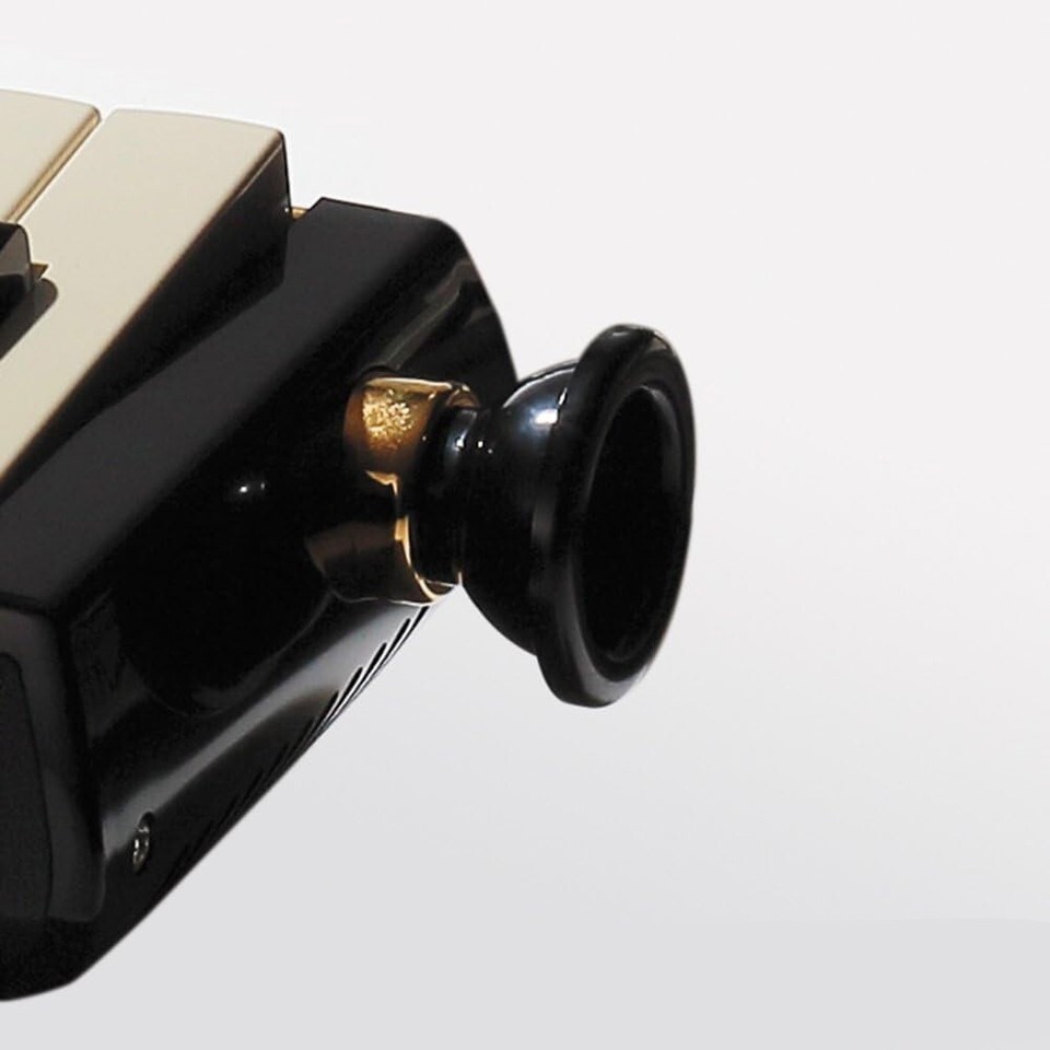 SUZUKI HAMMOND PRO-24B Bass Melodion Keyboard Harmonica with Soft Case ...