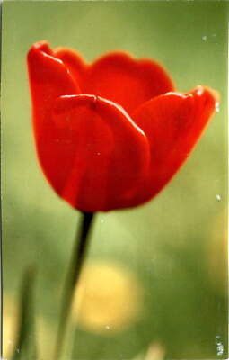 Front of postcard, Place Stamp Here, postage stamp, written Postcard | eBay