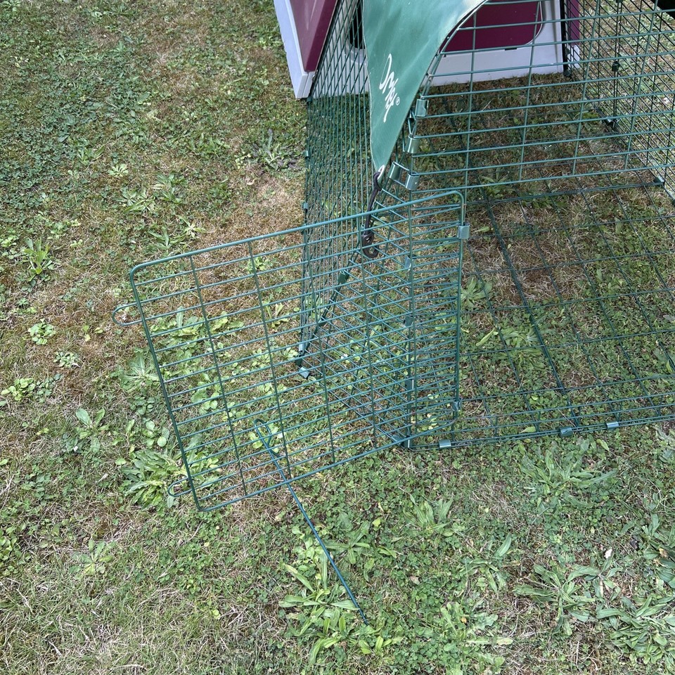 Omlet Eglu Go hutch, 1 metre Run & Cover with mesh floor for Guinea Pig ...