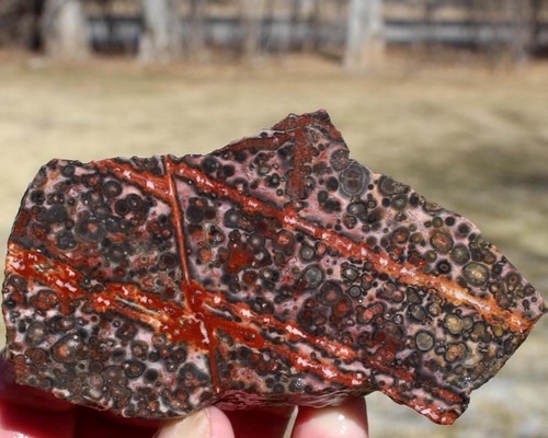 190 GRAM LEOPARD SKIN JASPER Rock/Mineral/rough/agate/onyx/slab/cab/gem ...