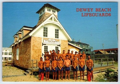 Postcard Delaware Dewey Beach Lifeguards male beefcake Live Saving ...