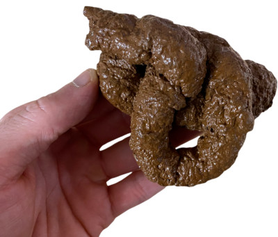 HIGH QUALITY Fake Dog Poop Poo Realistic Doggy Doo Doo Dirt Joke Gag ...