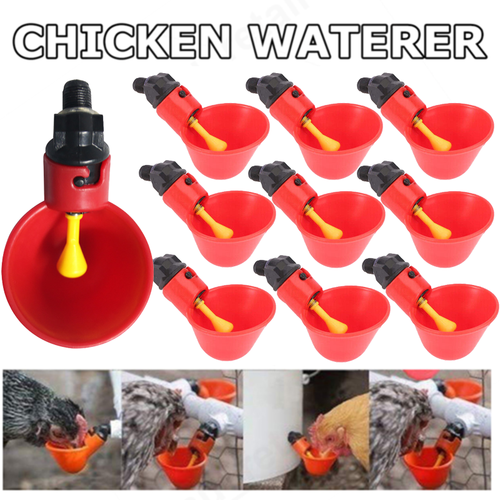 5/10x Feeder Bird Poultry Automatic Cups Chook Water Chicken Drinker ...