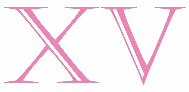 XV - Roman Numerals Vinyl Decal | eBay