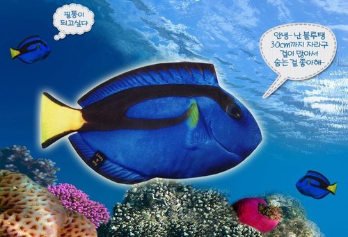 Blue Tang Fish Real Fish-like Zipper Pen & Make-up Pouch Pencil Case ...