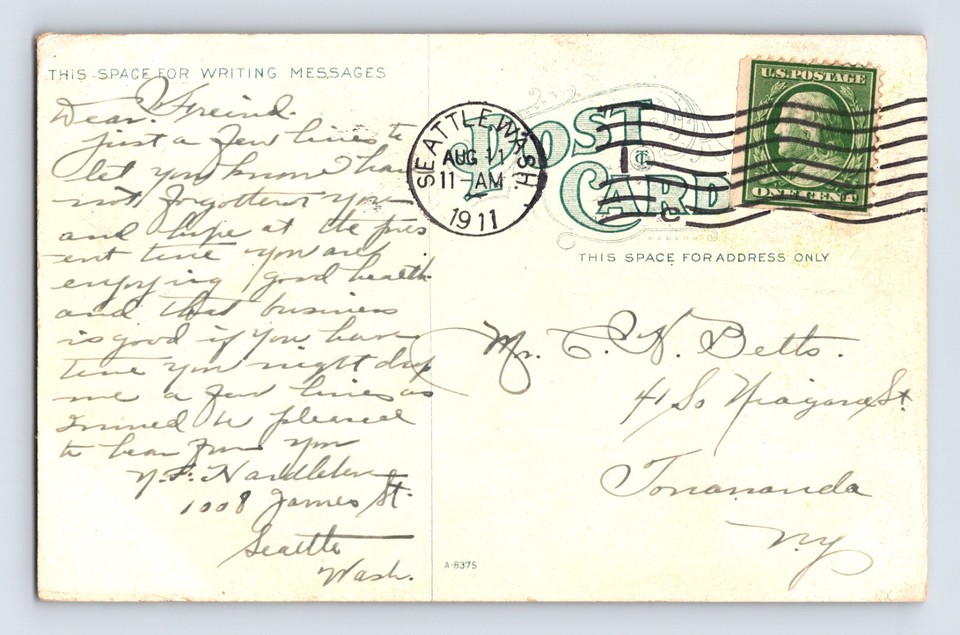 Postcard Washington Mt Adams WA Cascade Mountains 1911 Posted Divided ...
