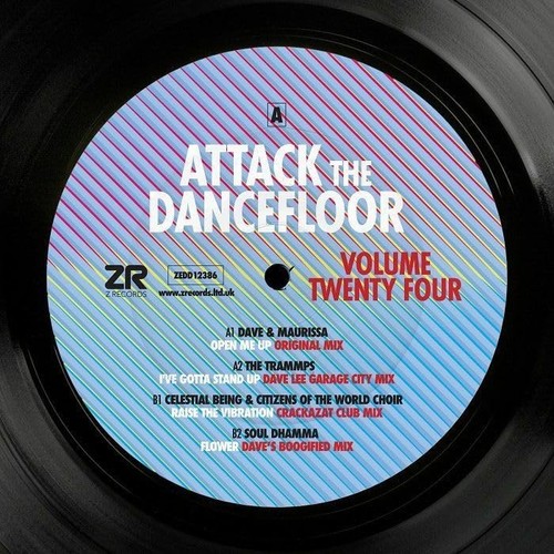 Various Artists Attack The Dancefloor Vol. 24 (Vinyl) 899123048958 | eBay