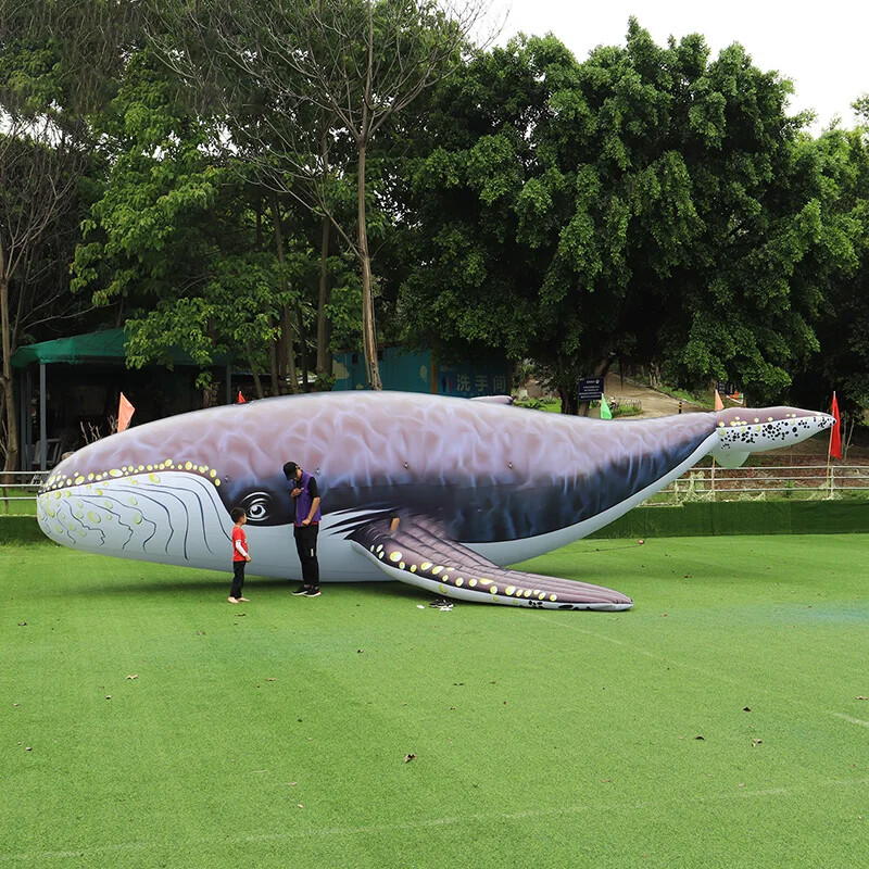 Giant Inflatable Whale for Decoration Inflatable Orca Sale Humpback ...
