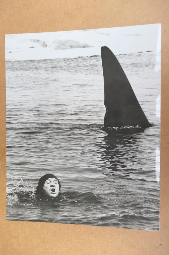 Richard Harris,, ORCA Press Pack/Promo Photo 10 x 8 inch | eBay UK