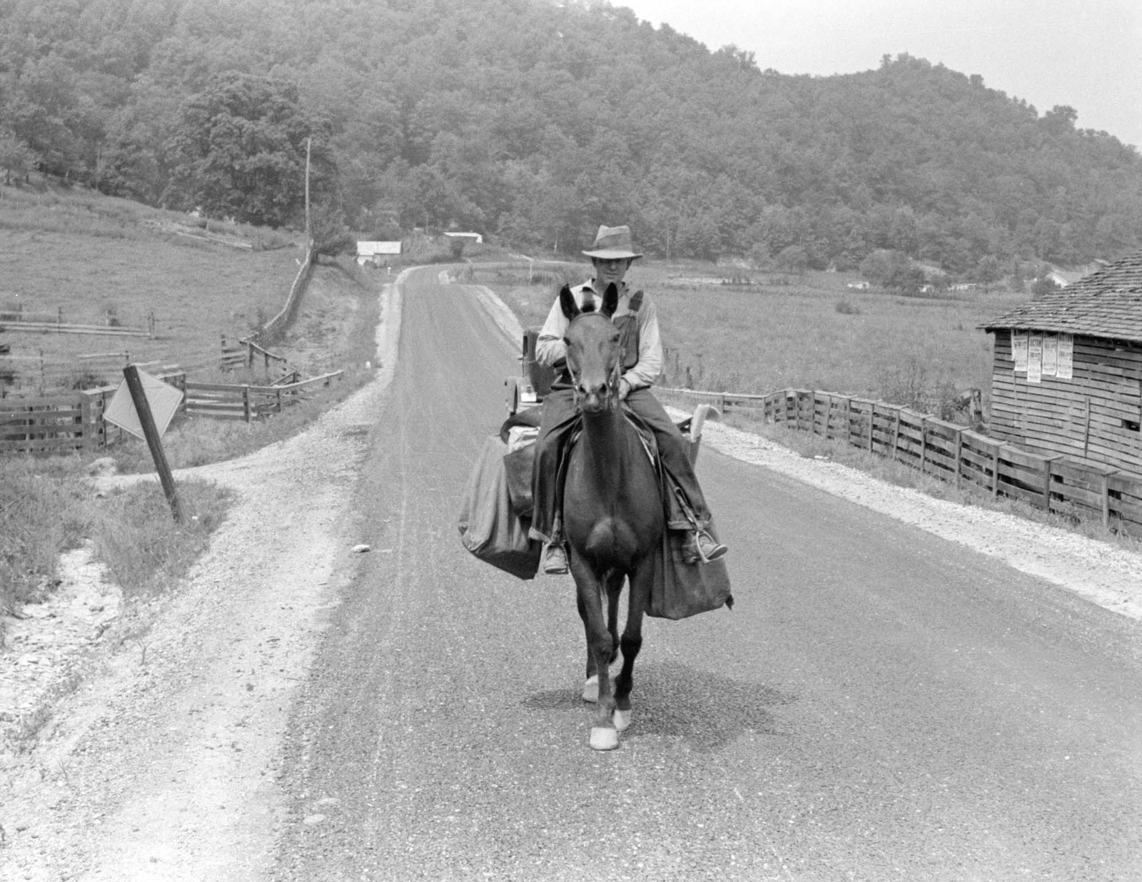 1940 Postman on Horseback, Near Jackson, Kentucky Old Photo 8.5" x 11 ...