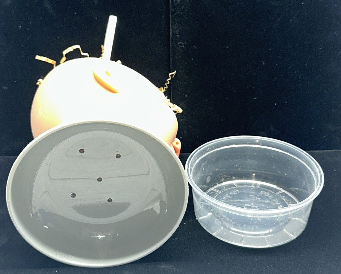 Flower Pot Boy Head Face Planter I Wet My Plants | eBay