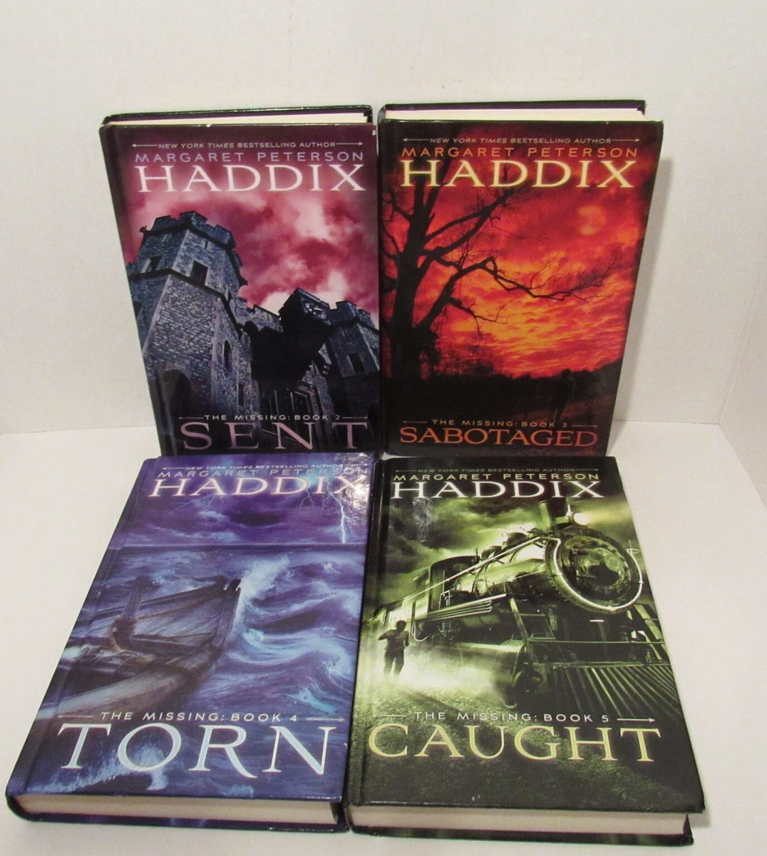 The Missing Book Series