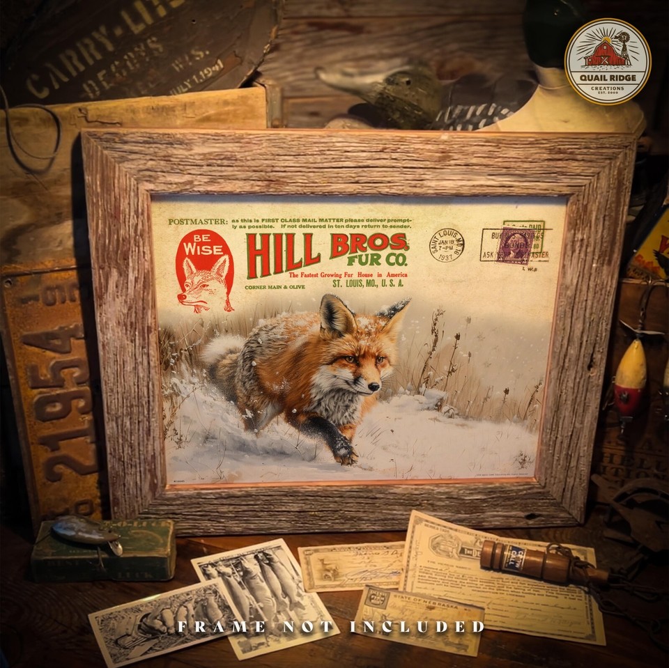 Vintage Fur Trapping Catalog Art Print Red Fox Trapping Hunting Cabin ...
