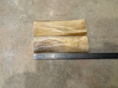 BEAUTIFUL NATURAL BONE KNIFE HANDLE MATERIAL BLANK SCALES | eBay