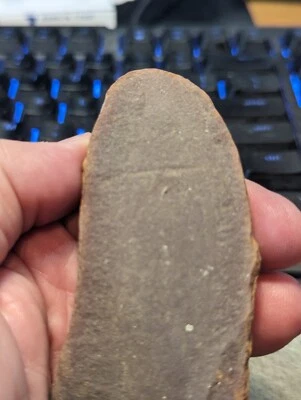 Mazon Creek Fossil Tully Monstrum , Large | Grelly USA