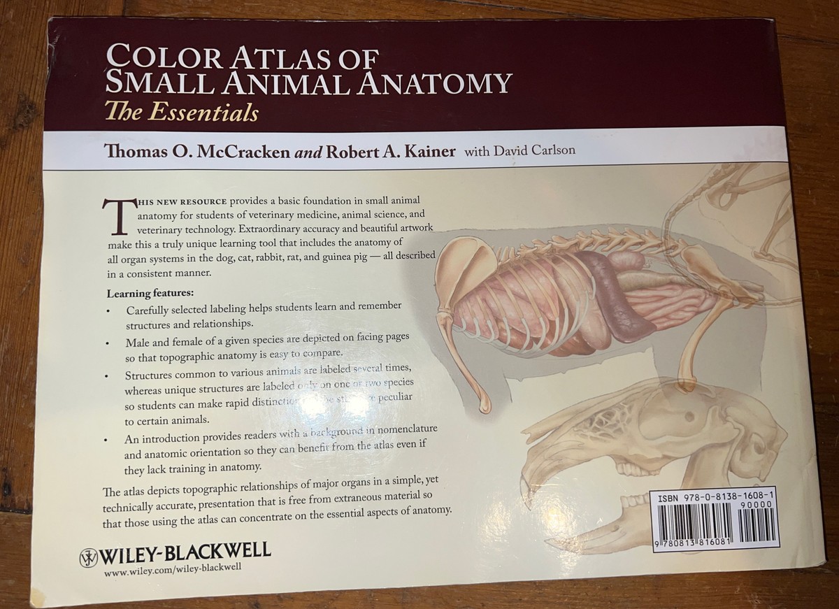 Atlas Of Animal Anatomy Atlas Of Animal Anatomy For Artists, Francis A