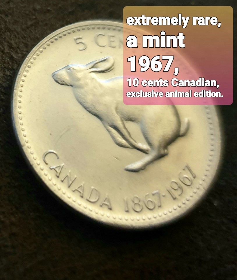 Rare 1867/1967 Canadian centennial rabbit dime | eBay