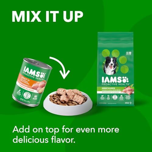 IAMS Adult Minichunks Small Kibble High Protein Dry Dog Food Real ...