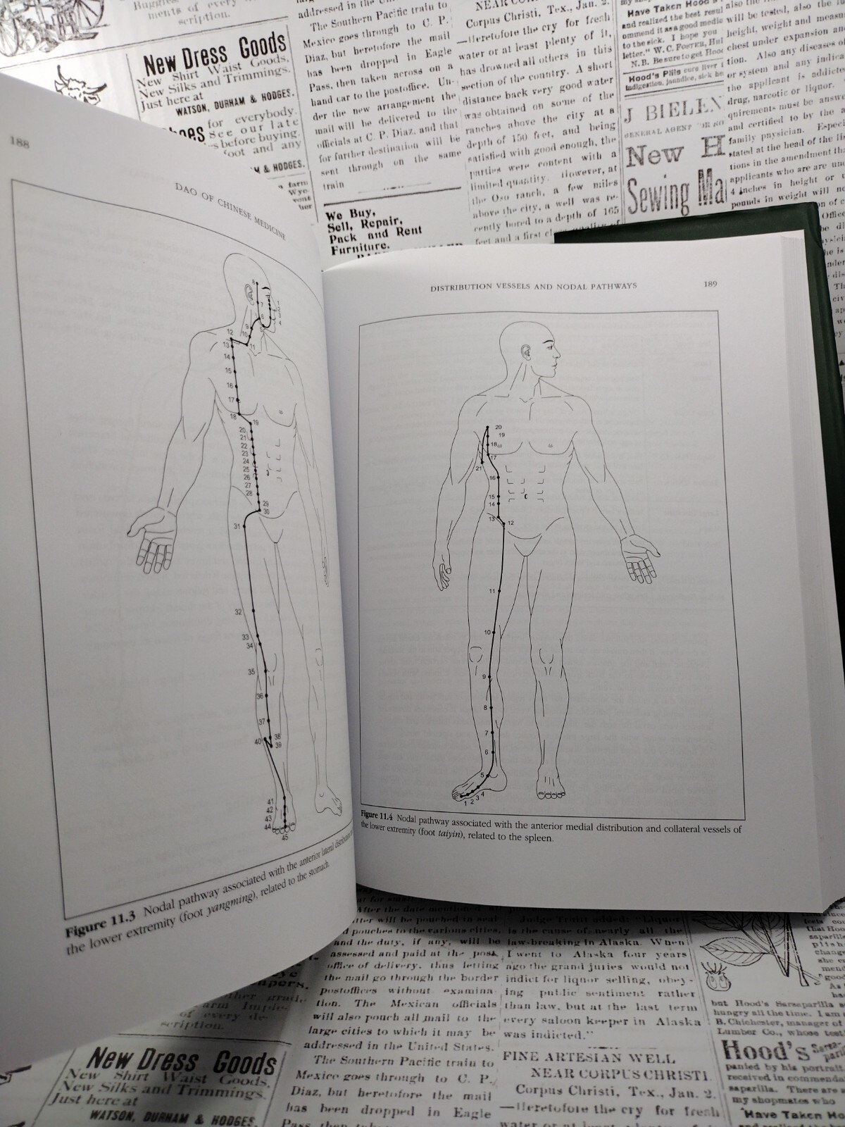 Dao of Chinese Medicine : Understanding an Ancient Healing Art by ...