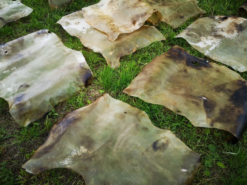 Real rawhide parchment rawhide from deer knight Viking shield drum ...