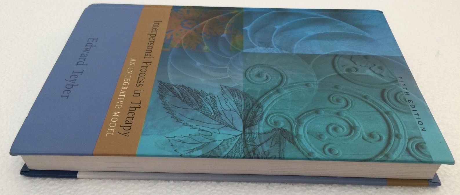 Interpersonal Process in Therapy: An Integrative Model (Edward Teyber ...