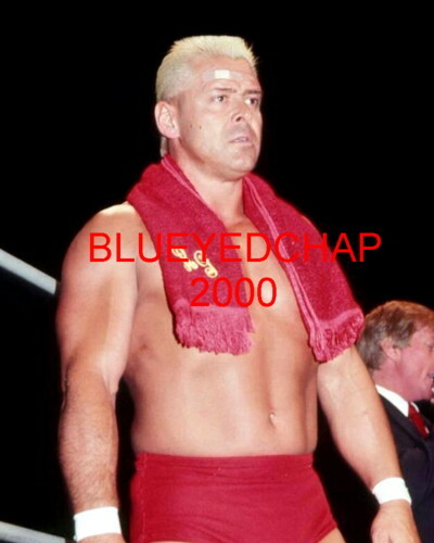 RONNIE GARVIN WRESTLER 8 X 10 WRESTLING PHOTO NWA | eBay