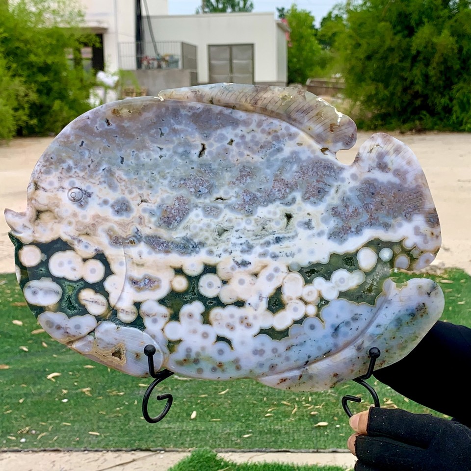 3.16LB Amazing natural marine jasper crystal carving fish jasper aura ...