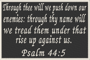 PSALM 44:5 Iron-On Patch Christian Tactical Morale Military Emblem | eBay
