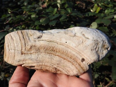 28oz TOP SHELF RAW Travertine ONYX Nodule, Root Beer Agate Peeler ...