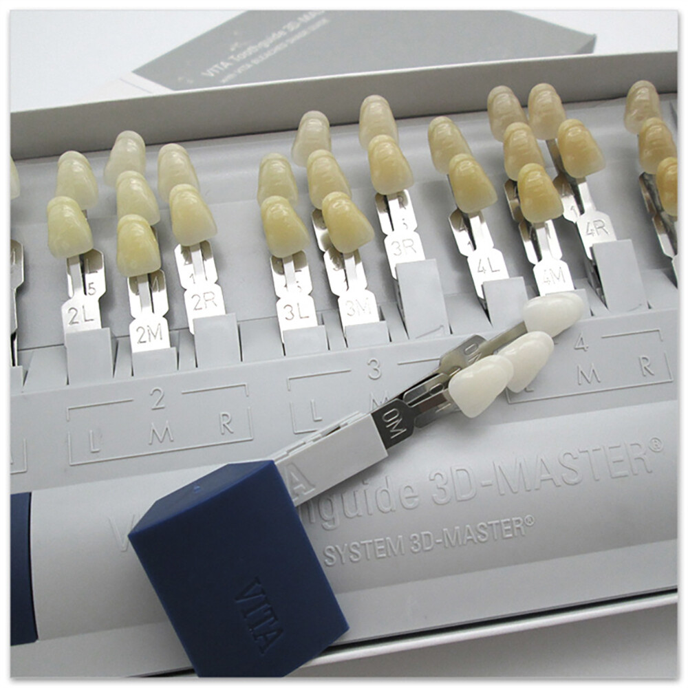 Dental VITA Toothguide 3D Master with Bleached Shade Guide Resin 29 ...