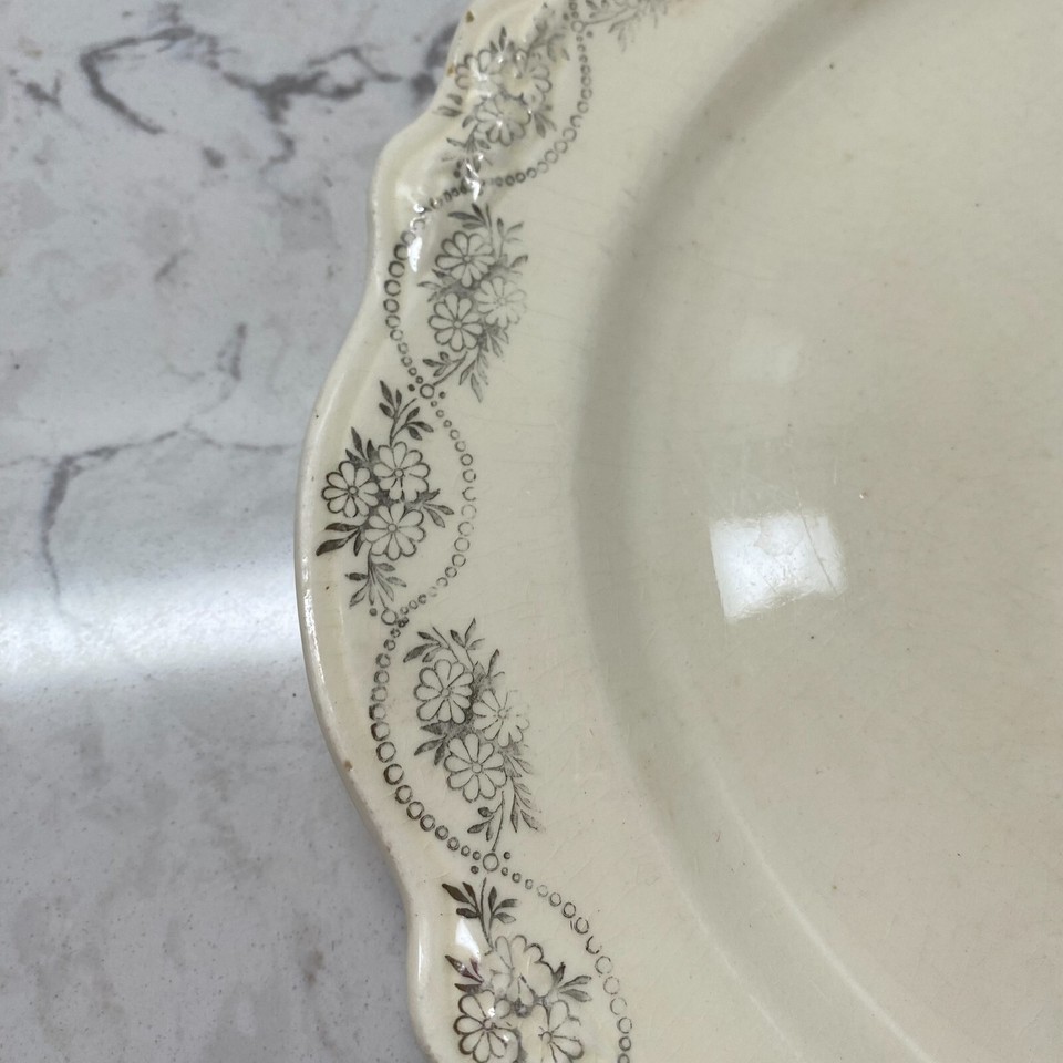 Homer Laughlin Virginia Rose Scalloped Edge Fine Dinnerware Plate Home ...