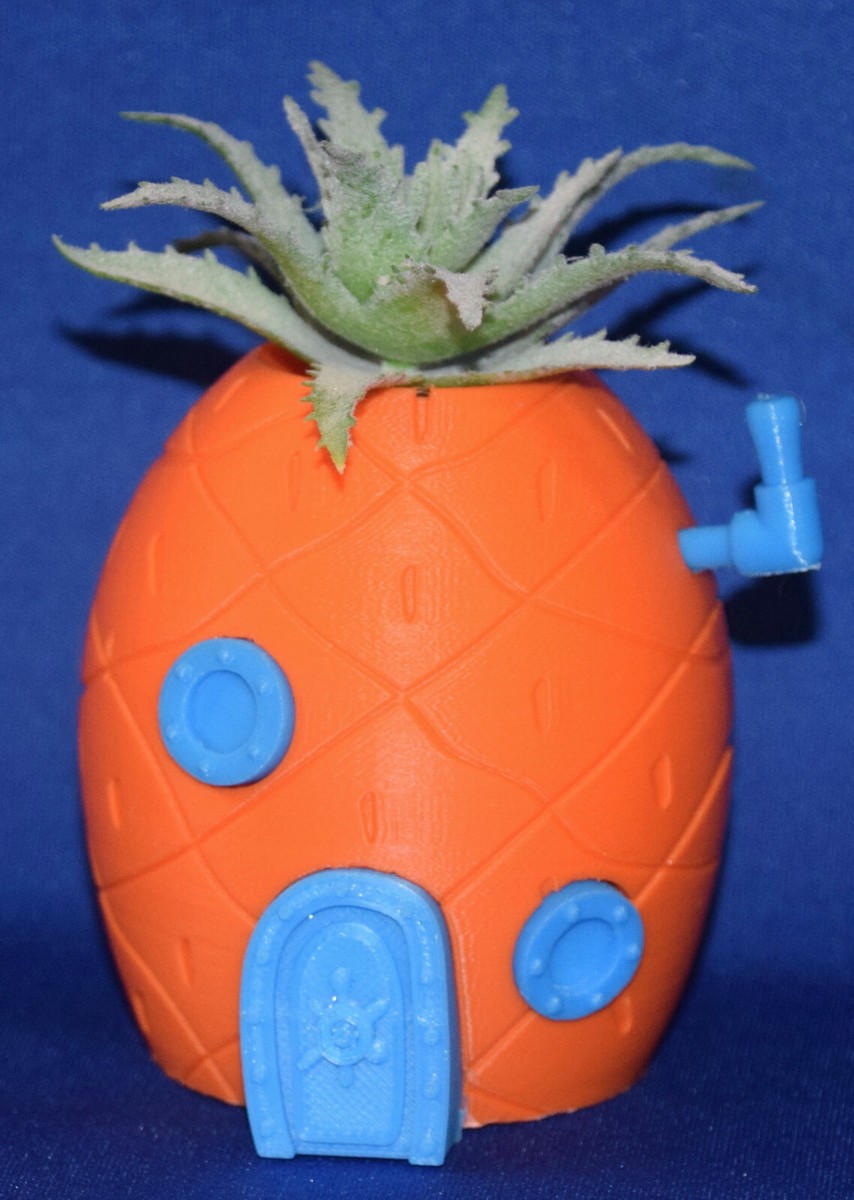 Spongebob Weed Plant