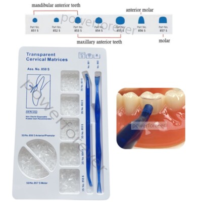 Dental Transparent Cervical Matrices Composite Gingival Retractor Clear ...