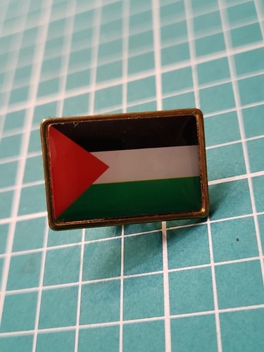 Vtg Palestinian Palastine Flag Gold Tone Lapel Pin | eBay