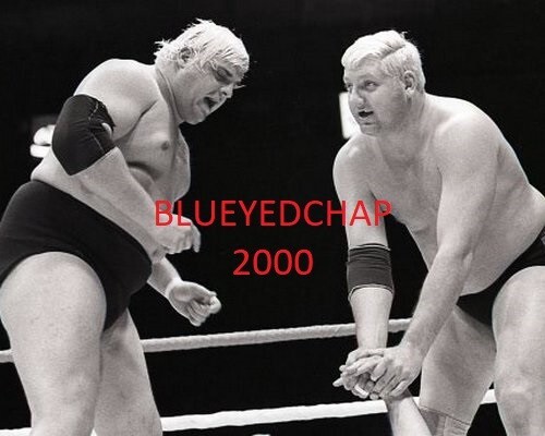 DUSTY RHODES & DICK MURDOCH WRESTLER 8 X 10 WRESTLING PHOTO NWA | eBay