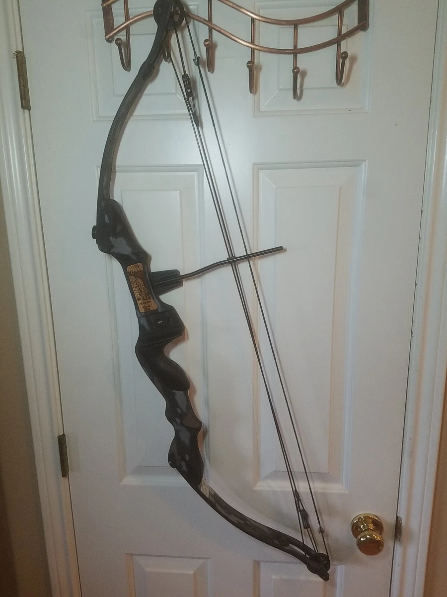 Older Martin Compound Bow