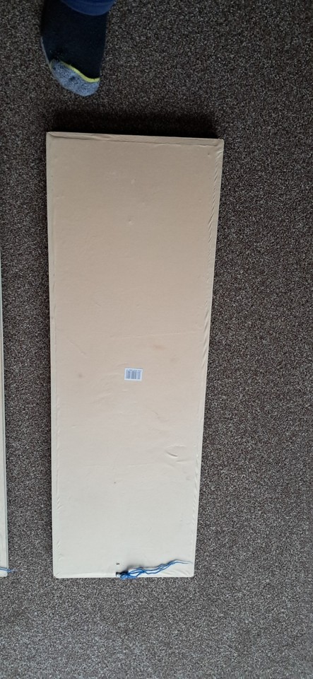 Lily And Tulip Pictures | eBay UK