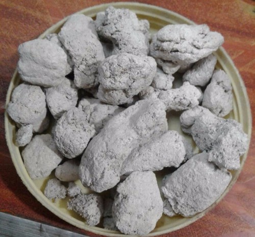 Tabasheer/Tabachir / Banslochan/Bamboo manna 120 grams for Many Health ...