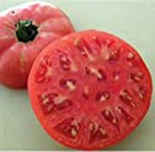 Brandywine Tomato (Sudduth Strain) Seeds (20+ Seeds) | Non GMO ...