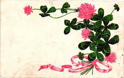 Vintage Postcard- PINK FLOWERS WITH PINK RIBBON | eBay