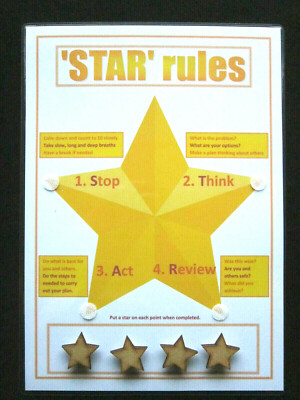 'STAR' RULES CHART ADHD Autism SEN Visual Aid PECS Communication ...