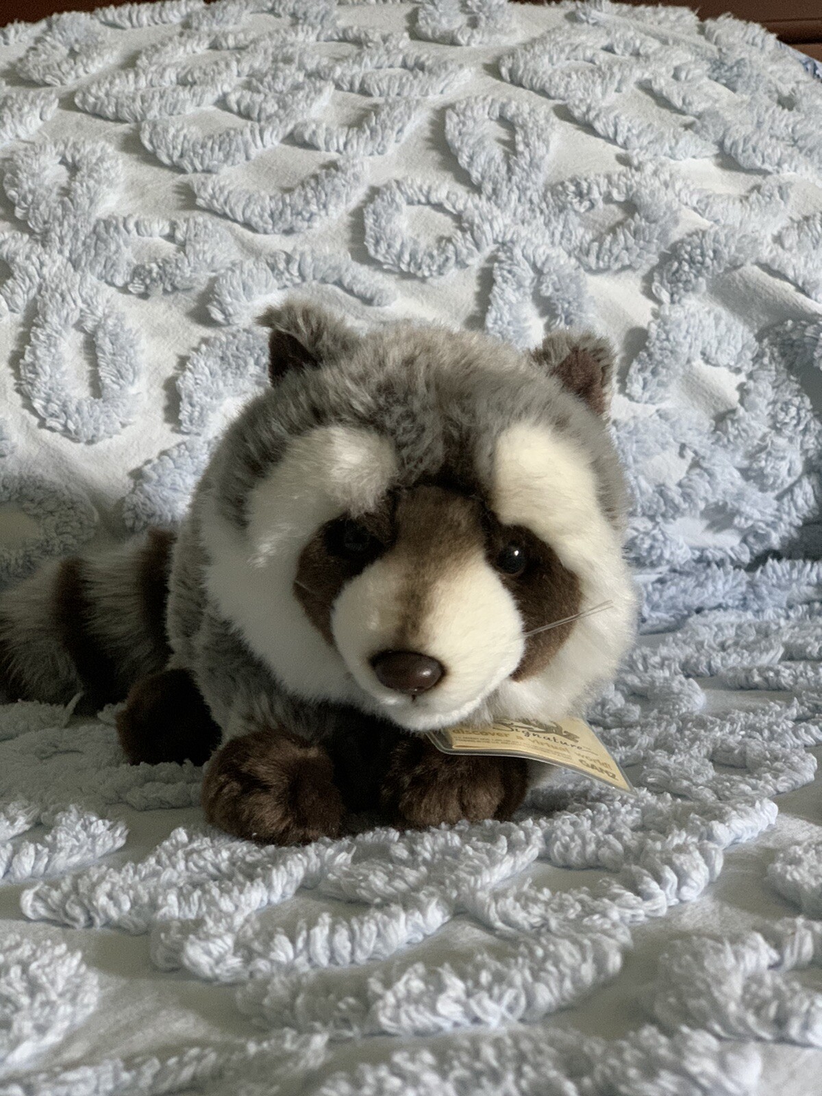 Webkinz Signature Raccoon WKS 1004 Unused Tag 661371804989 | eBay