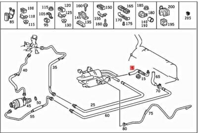 Large Fuel Hose Between Fuel Pump and Tank | Mercedes-Benz Forum