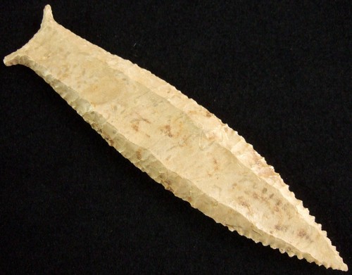 Exceptionally Fine 5 3/16 inch Kentucky Cumberland Point Butler COA ...