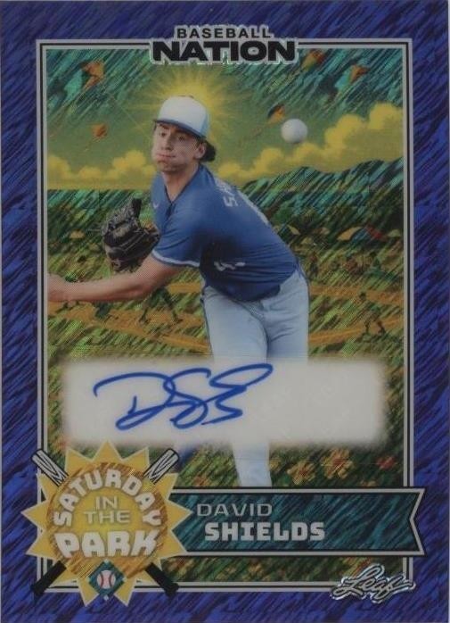 2025 Leaf Baseball Nation - Saturday in the Park Autographs David ...