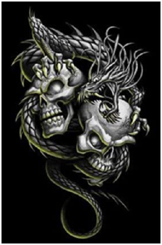 ODM Dragon Attack Poster 22.375x34'' Inch | eBay