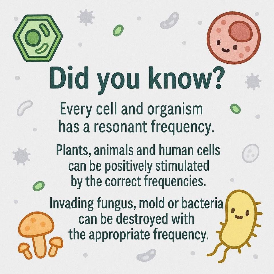 Rife Machine for Wellness – Advanced Frequency Therapy for Healing ...