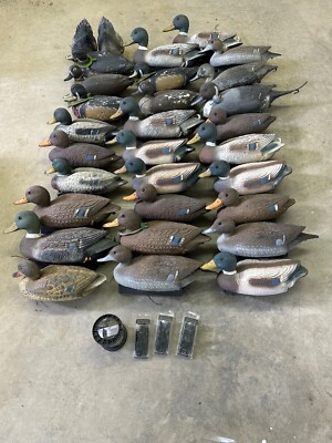 Lot of 28 Duck Decoys plus 2 boxes of clips and new decoy cord and more ...