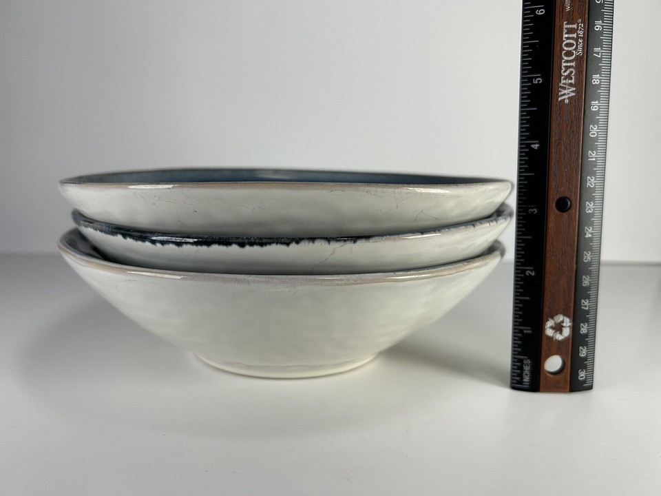 Target Home Ashwood Blue Stoneware Dinnerware (Target Version of ...